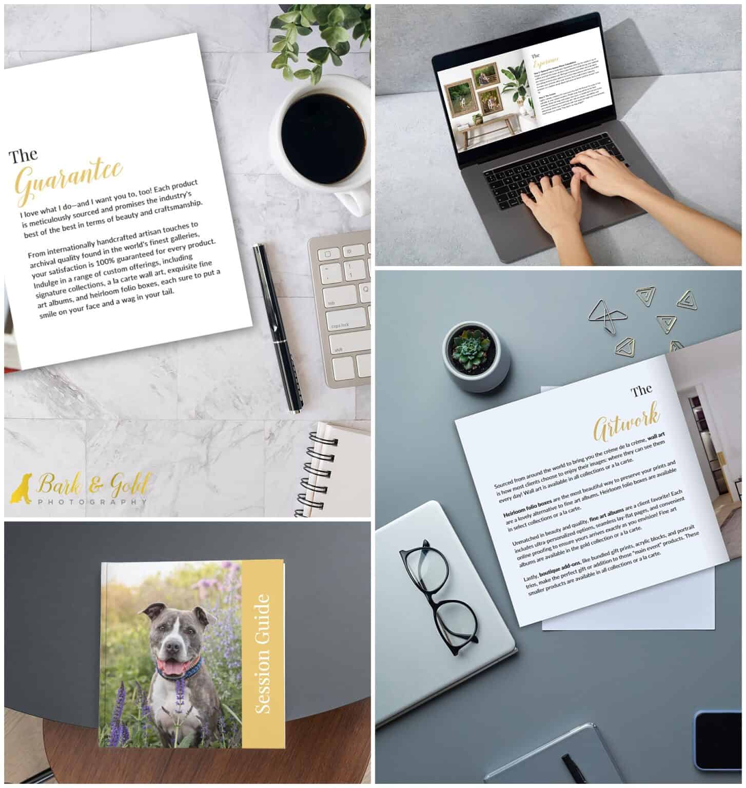 How Bark & Gold Photography’s Guides Make Your Photography Experience ...